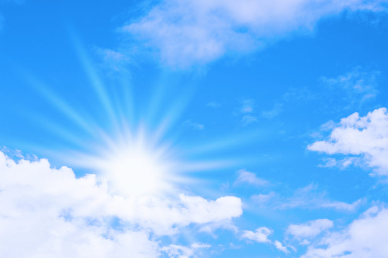 Arquivos luz do sol - Educando tudo muda